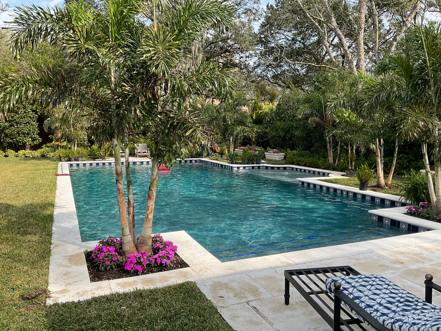 Pool Landscaping Basics: Tips for an Outdoor Oasis 2023 – Plant It ...