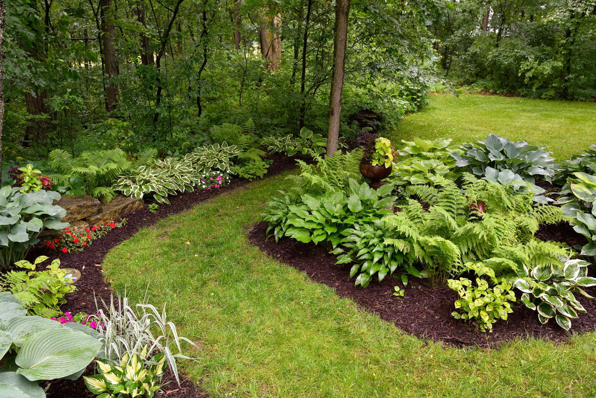 Plant It Tampa Bay Property Maintenance & Yard Cleanup Services Tampa, Fl